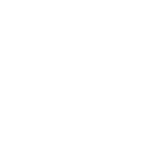 Coalition for Elder Justice in Connecticut