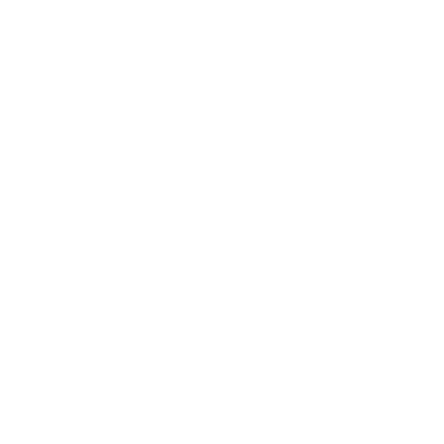 Coalition for Elder Justice in Connecticut